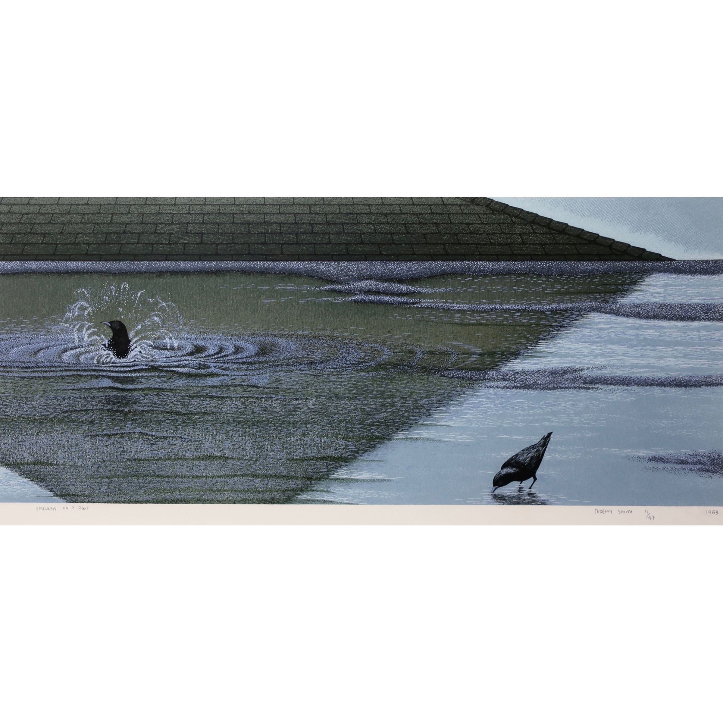 Jeremy Smith | STARLINGS ON A ROOF (1983) | MutualArt