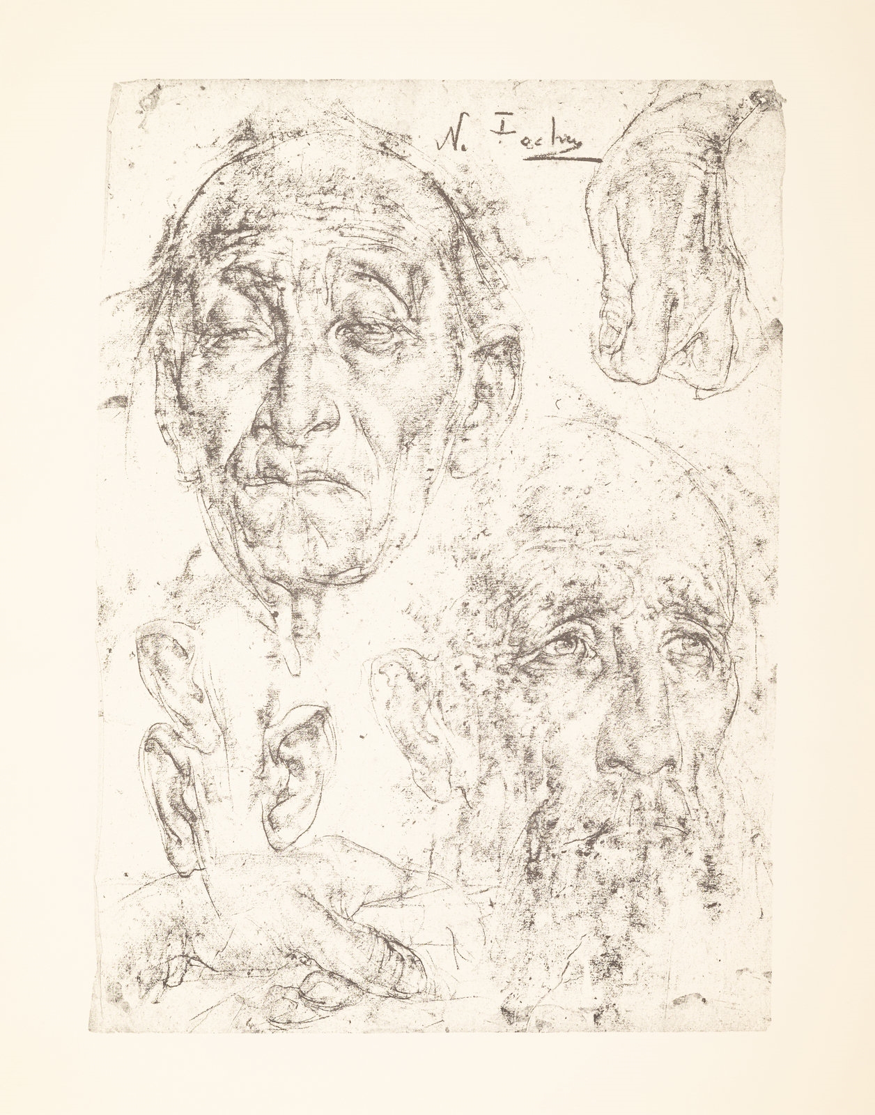 Nicolai Fechin | The Charcoal Drawings of Nicolai Fechin | MutualArt