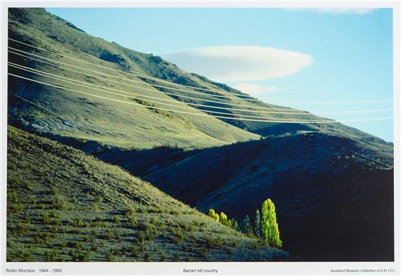 Robin Morrison | Barren Hill Country | MutualArt