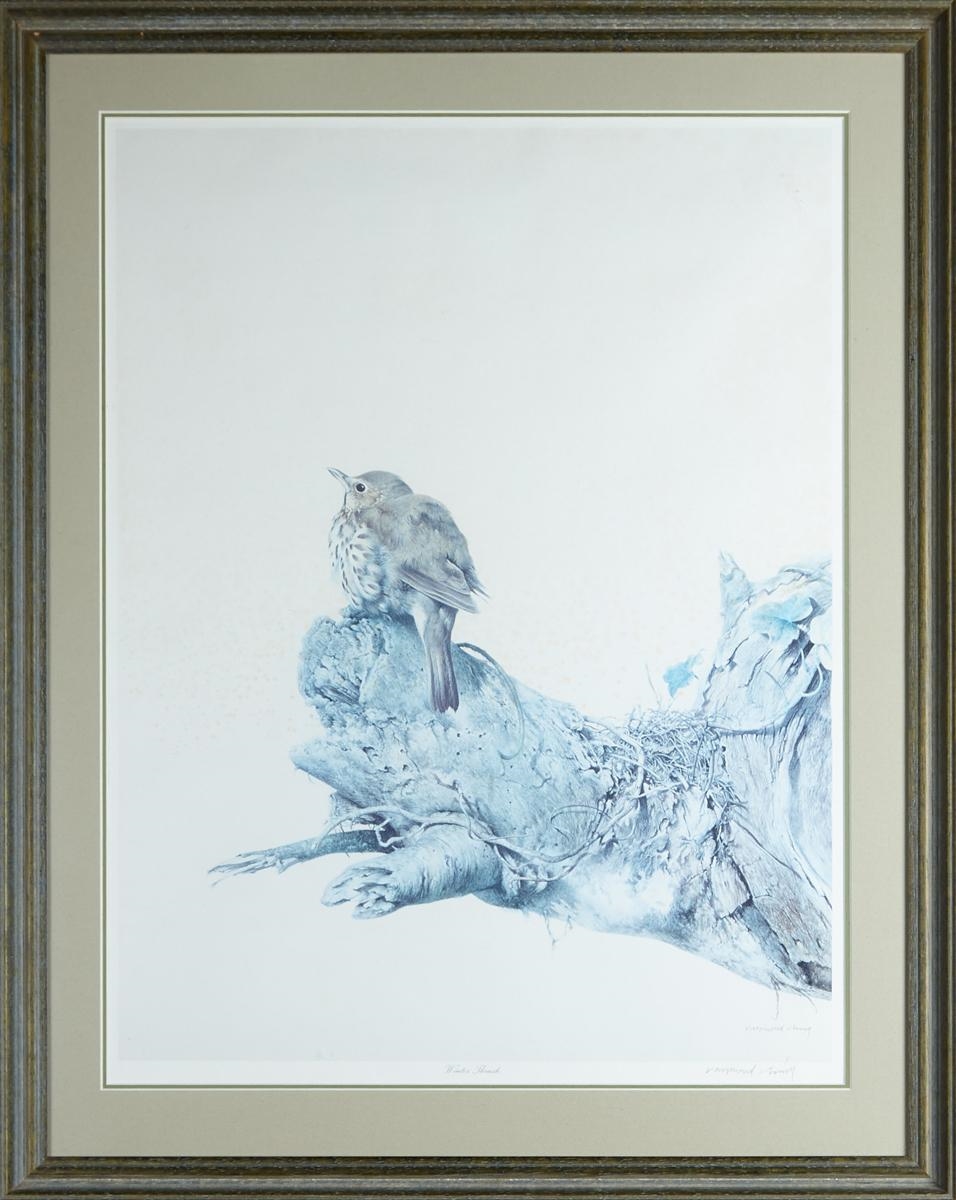 Raymond Harris Ching | Winter Thrush | MutualArt