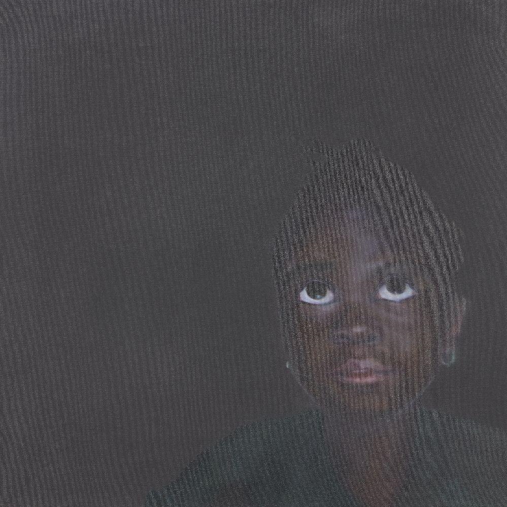 Nicky Hoberman | Strong Mint | MutualArt