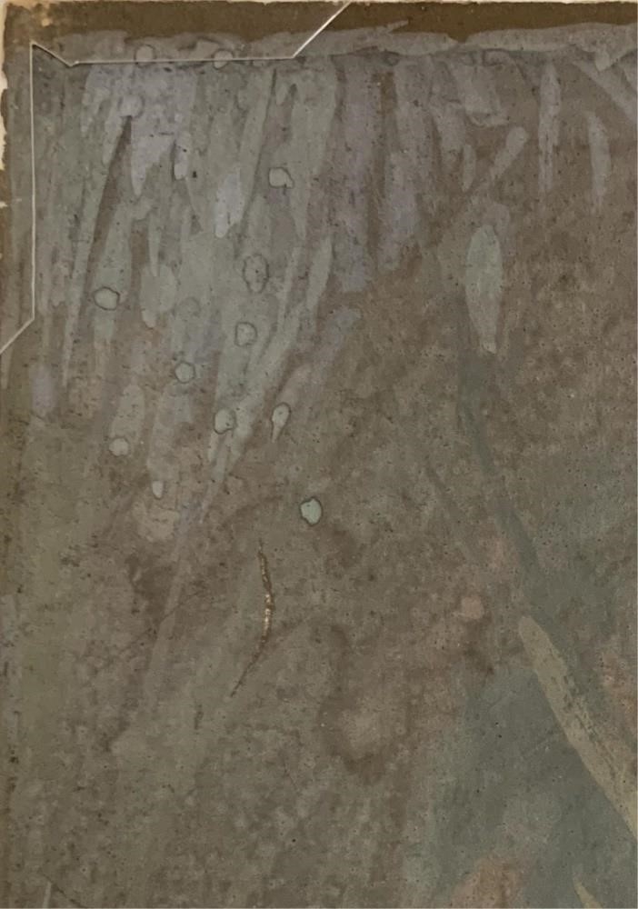 François Rivoire | Flowers (1871) | MutualArt