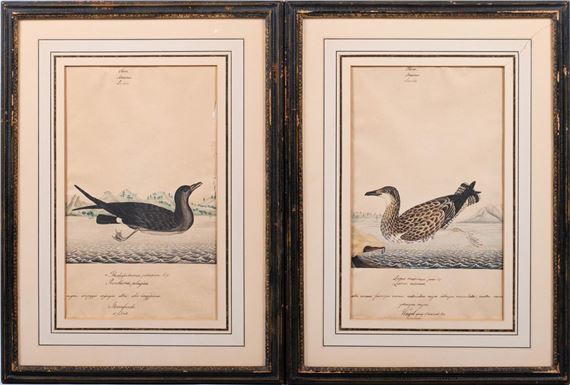 WILLIAM GOODALL | Performance at Auction | MutualArt