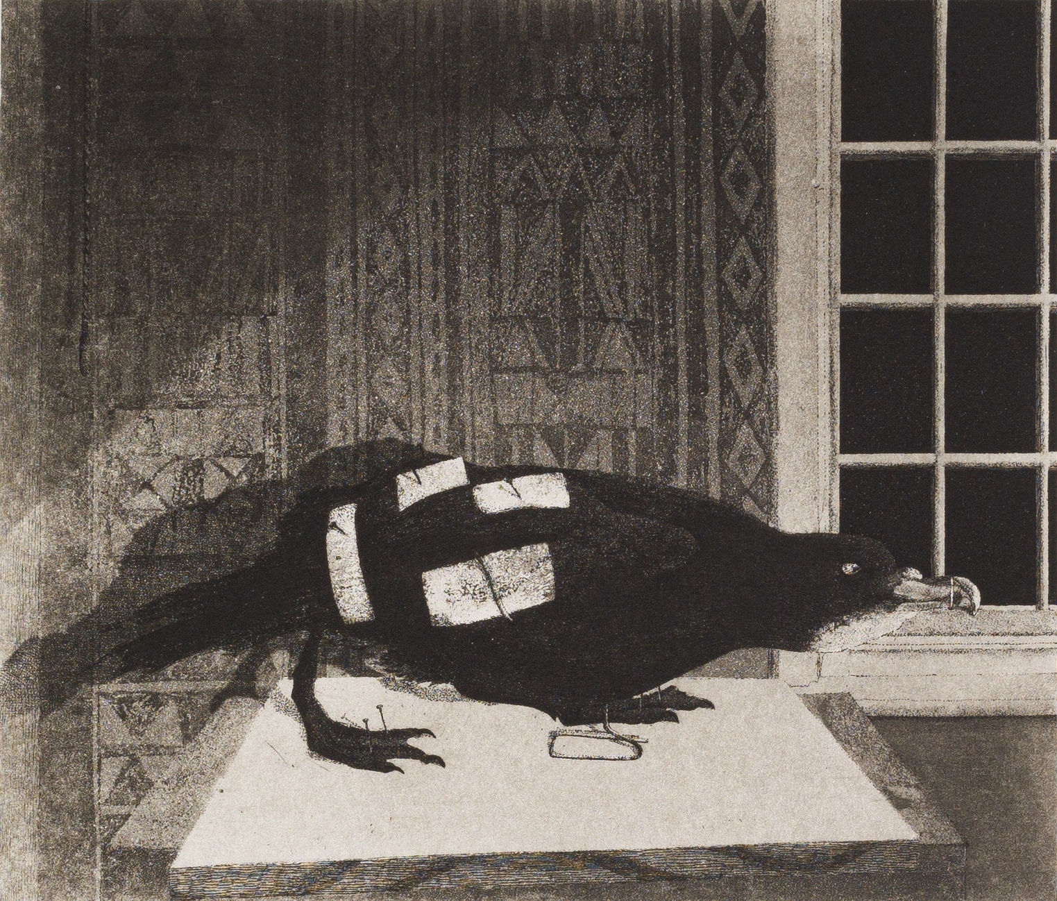 Pippa Skotnes | Crow (1989) | MutualArt