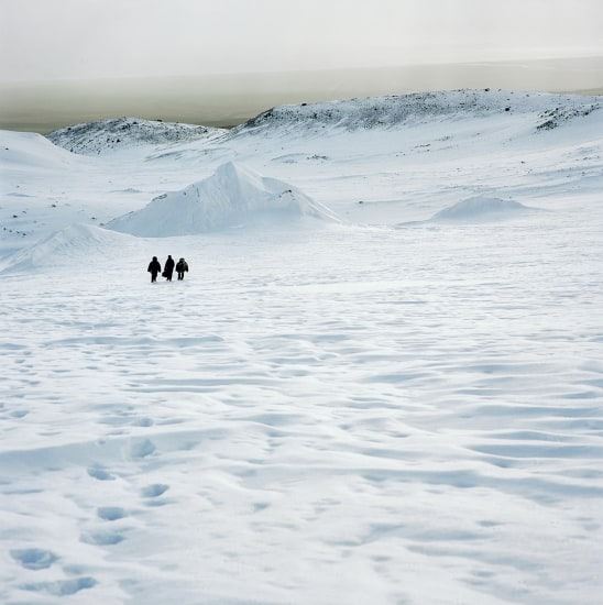 Isaac Julien | True North Series (2004) | MutualArt