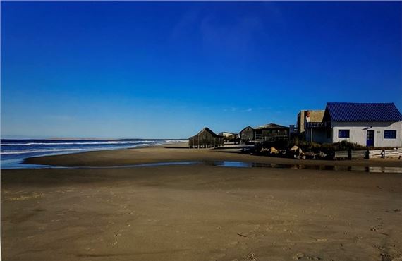 Nora Sandler | 9 Artworks | MutualArt