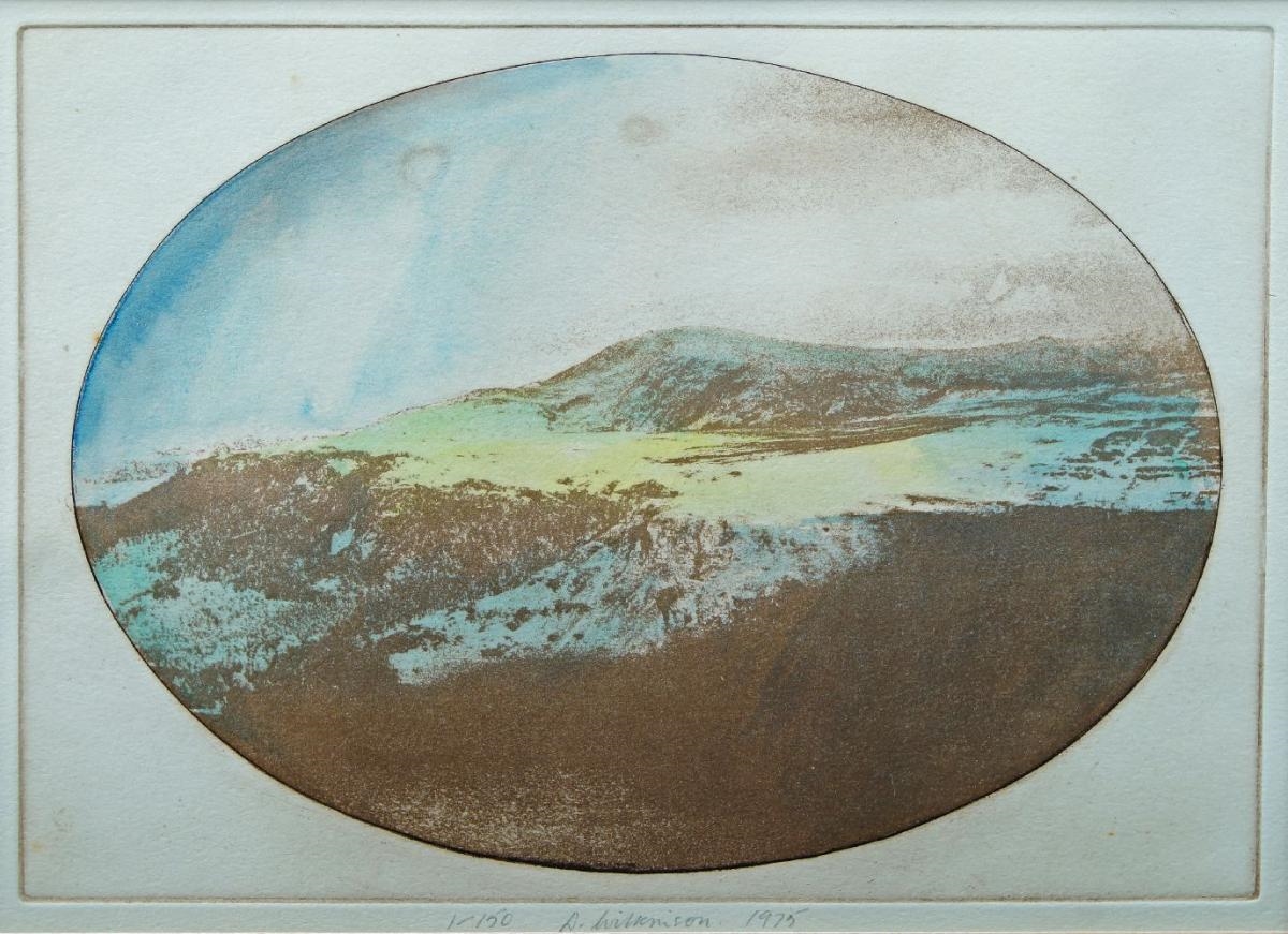 Donald Wilkinson | Mountainous landscape (1975) | MutualArt