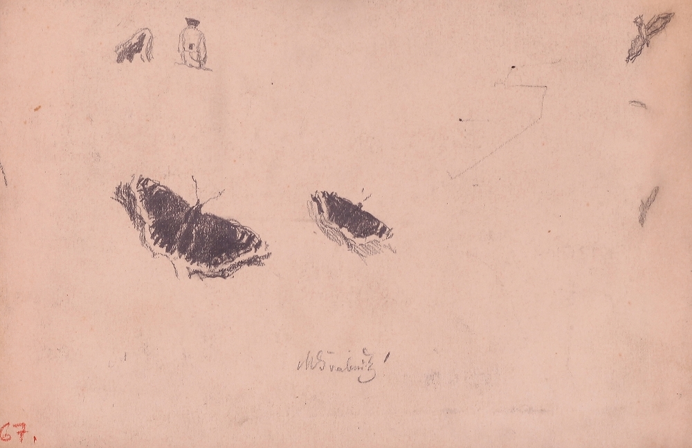 Max Švabinský | SKICA DETAILŮ | MutualArt