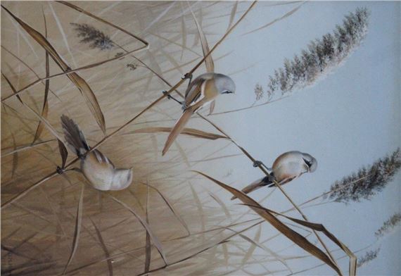David Morrison Reid Henry | BEARDED TITS AMIDST REEDS (1951) | MutualArt