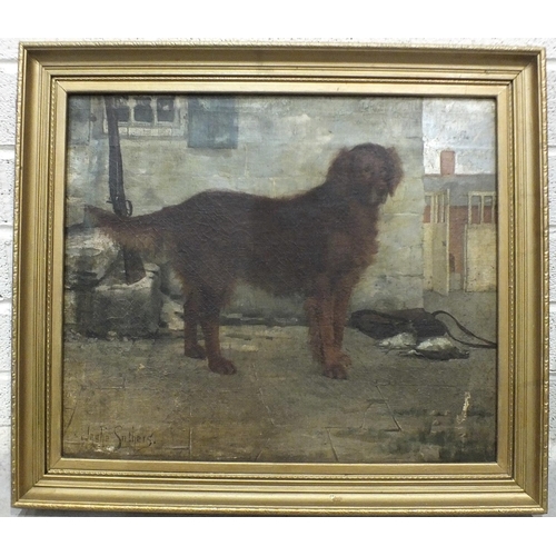 Leghe Suthers | A GOLDEN RETRIEVER STANDING IN A COURTYARD WITH GAME ...