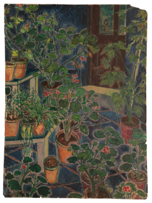 Peter Snow | Still life study of various house plants, The Knoll ...