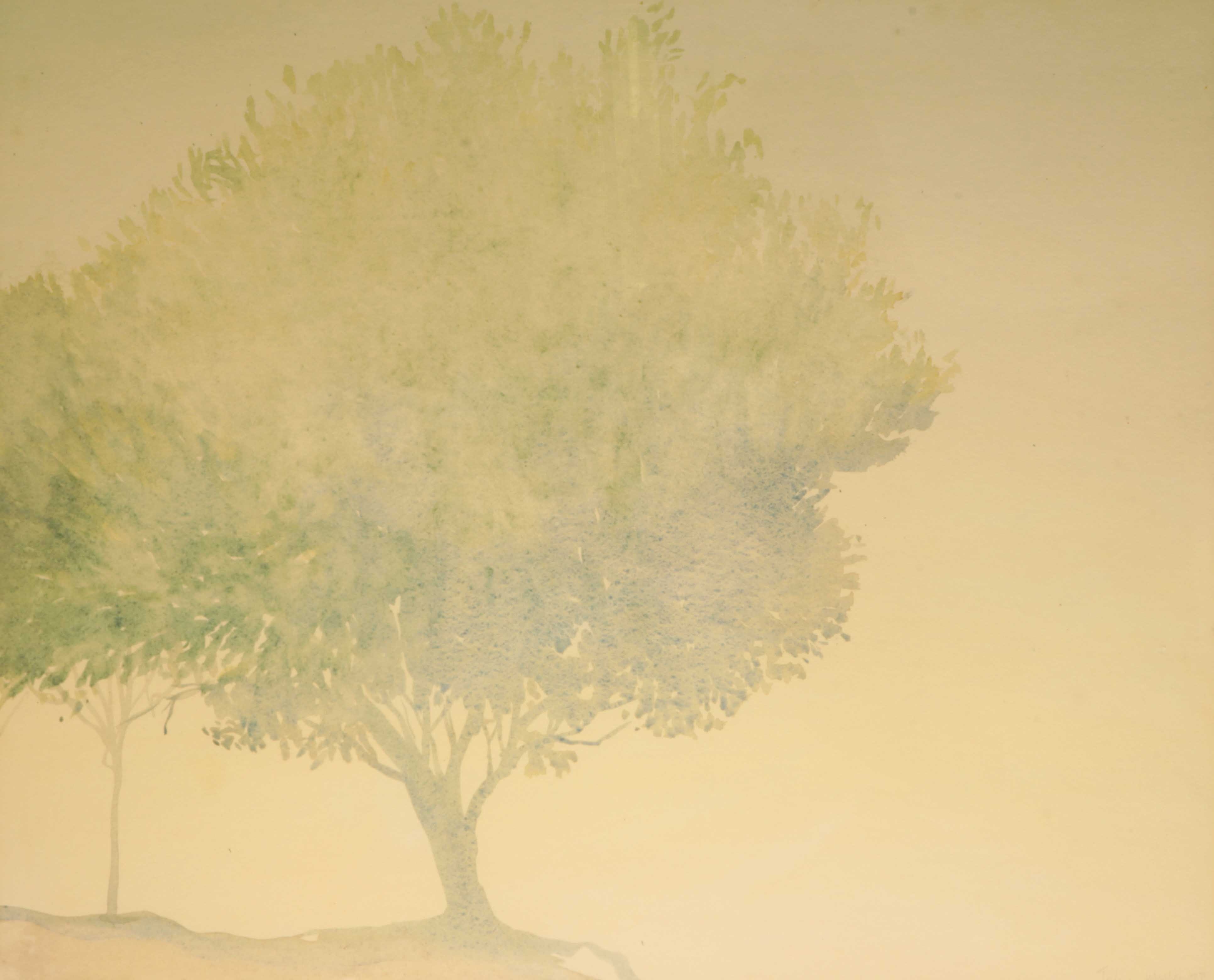 John Miller | Trees (1973) | MutualArt
