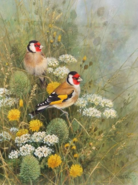 Neil Cox | A brace of Goldfinches next to wildflowers | MutualArt
