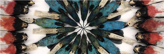 Sharif Bey | Artist Overview | MutualArt