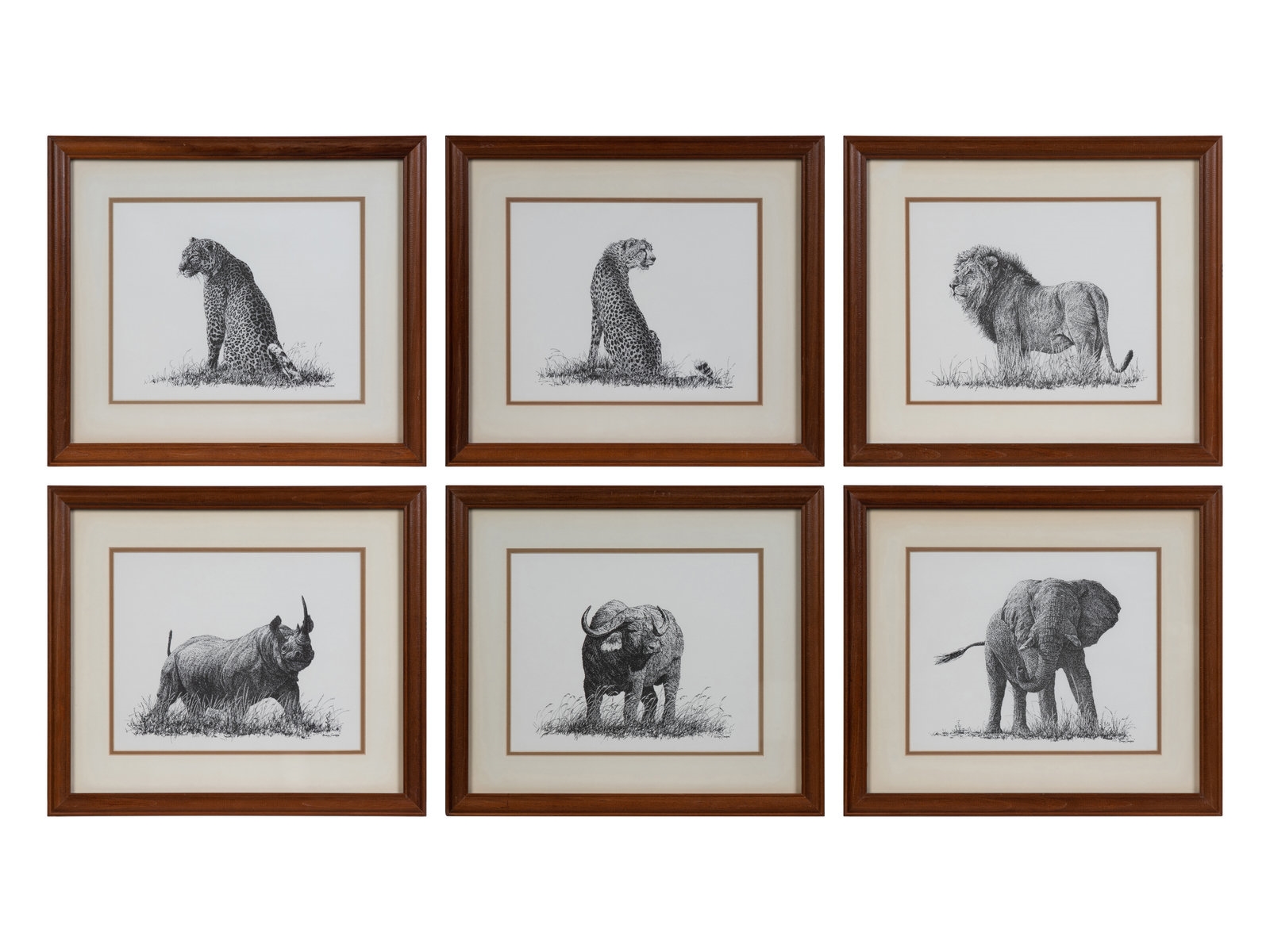 Simon Combes | Africa's Big Six | MutualArt