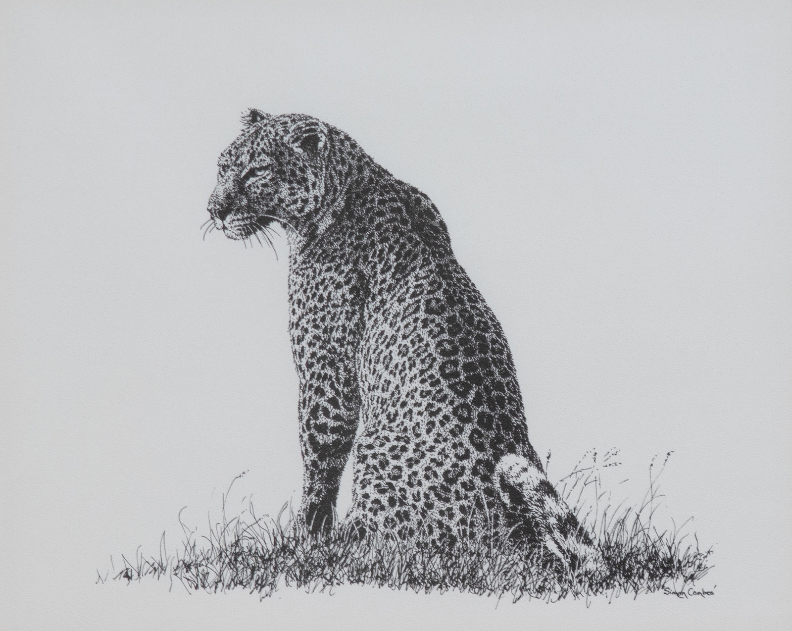 Simon Combes | Africa's Big Six | MutualArt
