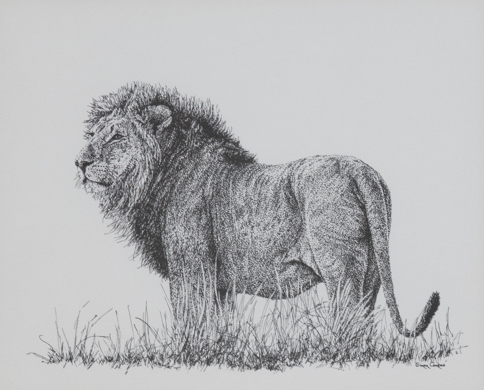 Simon Combes | Africa's Big Six | MutualArt