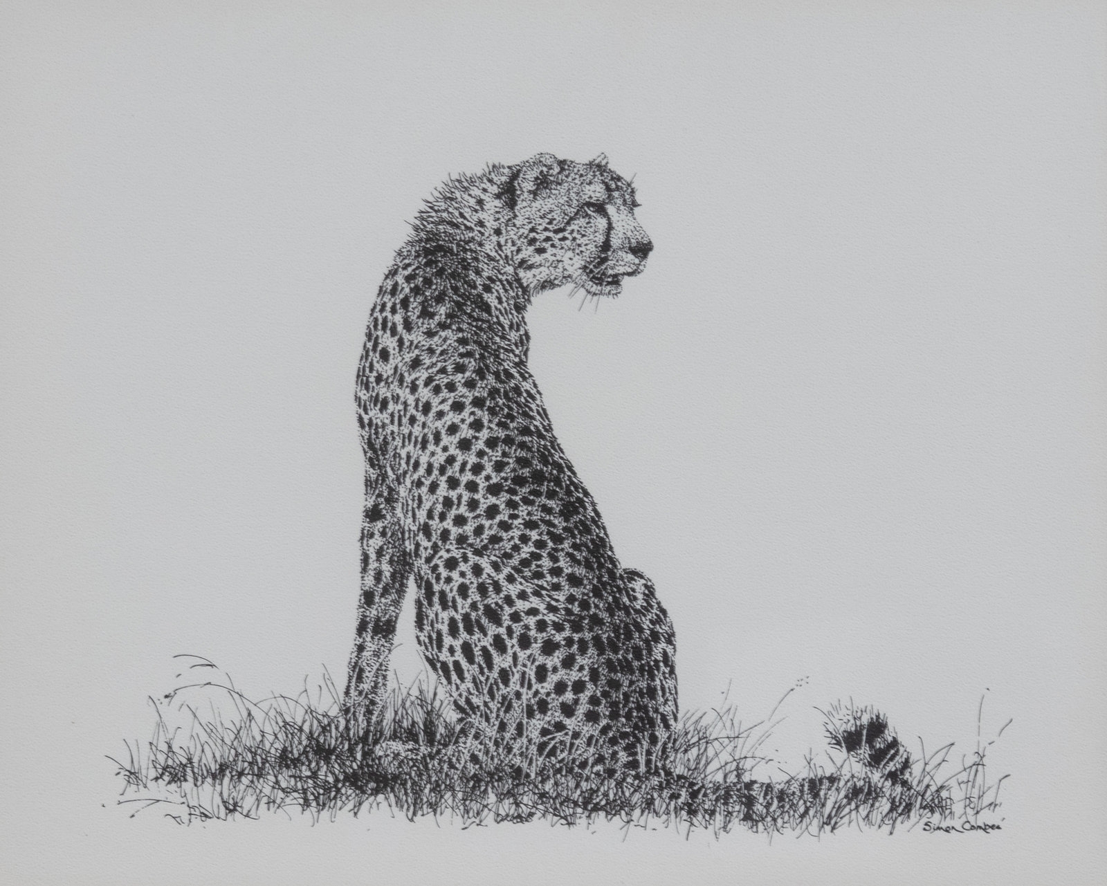 Simon Combes | Africa's Big Six | MutualArt