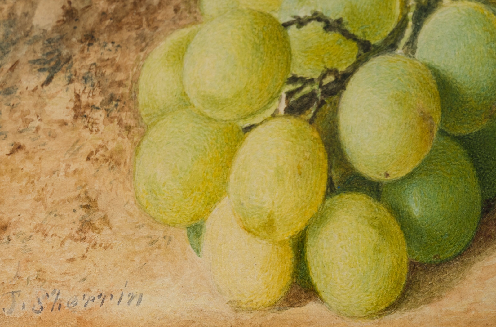John Sherrin | Still-Life of Fruit | MutualArt