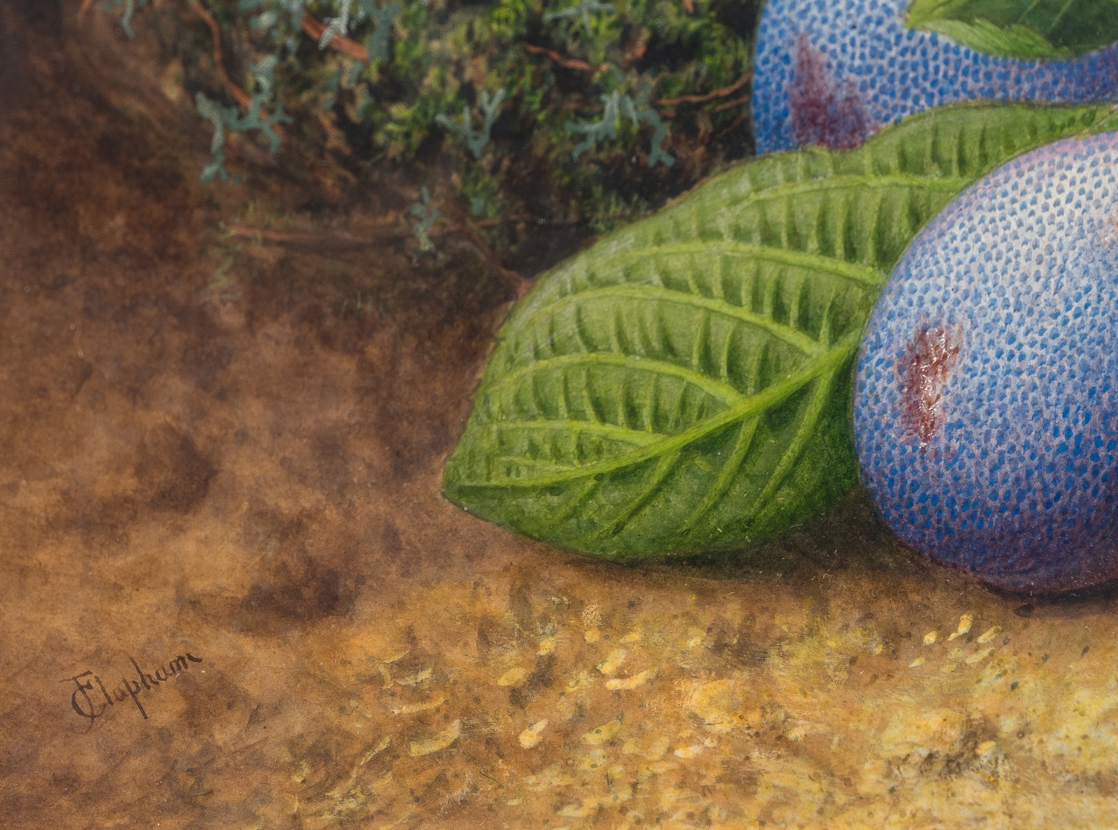 John Sherrin | Still-Life of Fruit | MutualArt