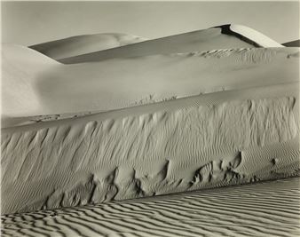 Edward Weston | Cabbage Leaf (1931) | MutualArt