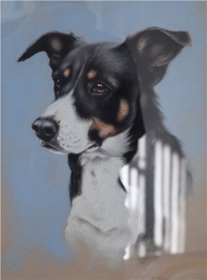 Peter J. Rowles Chapman | A Portrait of a Border Collie | MutualArt