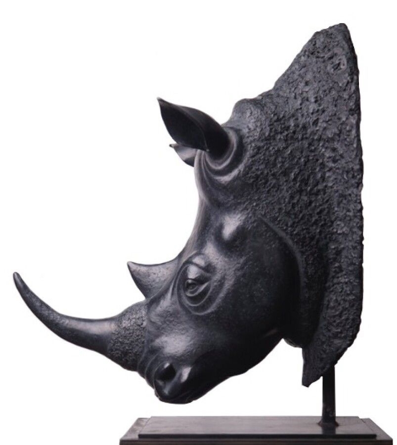 Florence Jacquesson | Head of a rhinoceros | MutualArt