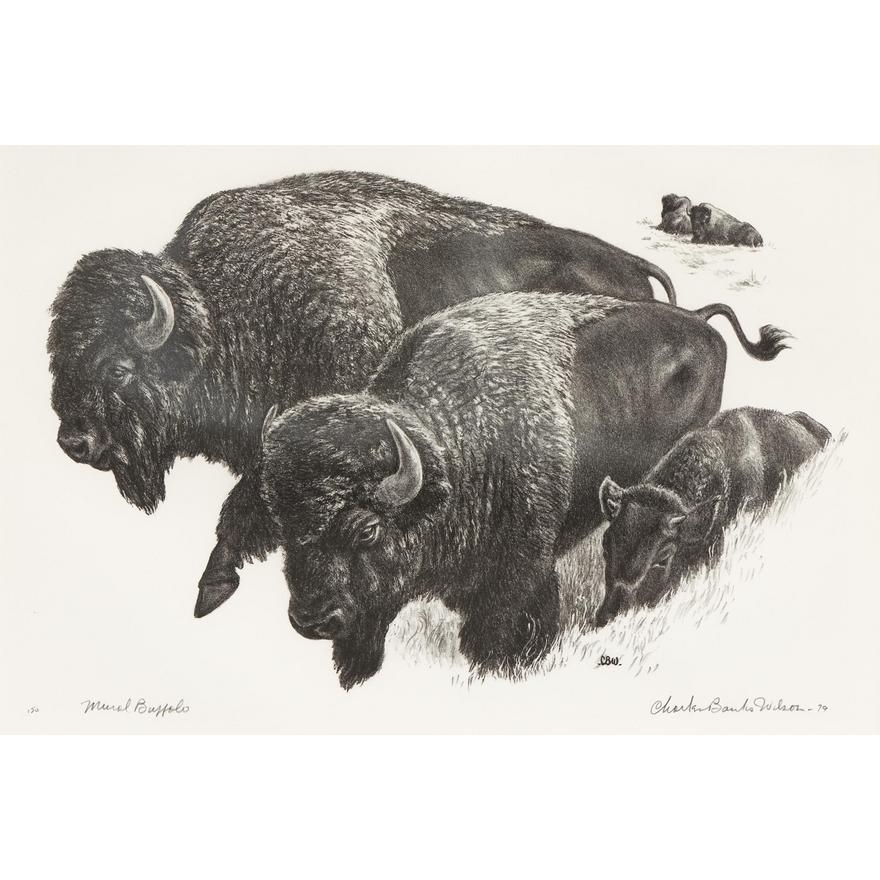 Charles Banks Wilson | Mural Buffalo (1979) | MutualArt
