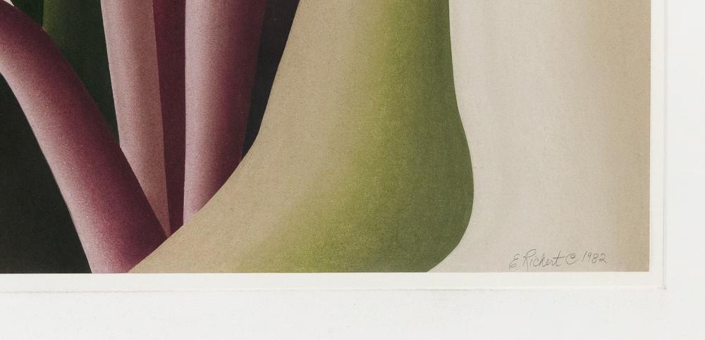 Elizabeth Rickert | Calla lily abstract. (1982) | MutualArt
