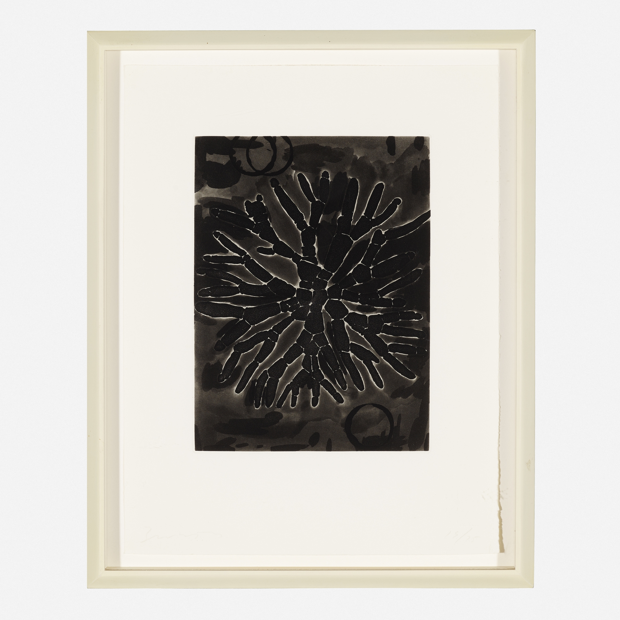 Terry Winters | Field Notes (1992) | MutualArt
