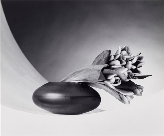 Robert Mapplethorpe | Tulips (1732 - 1987) | MutualArt