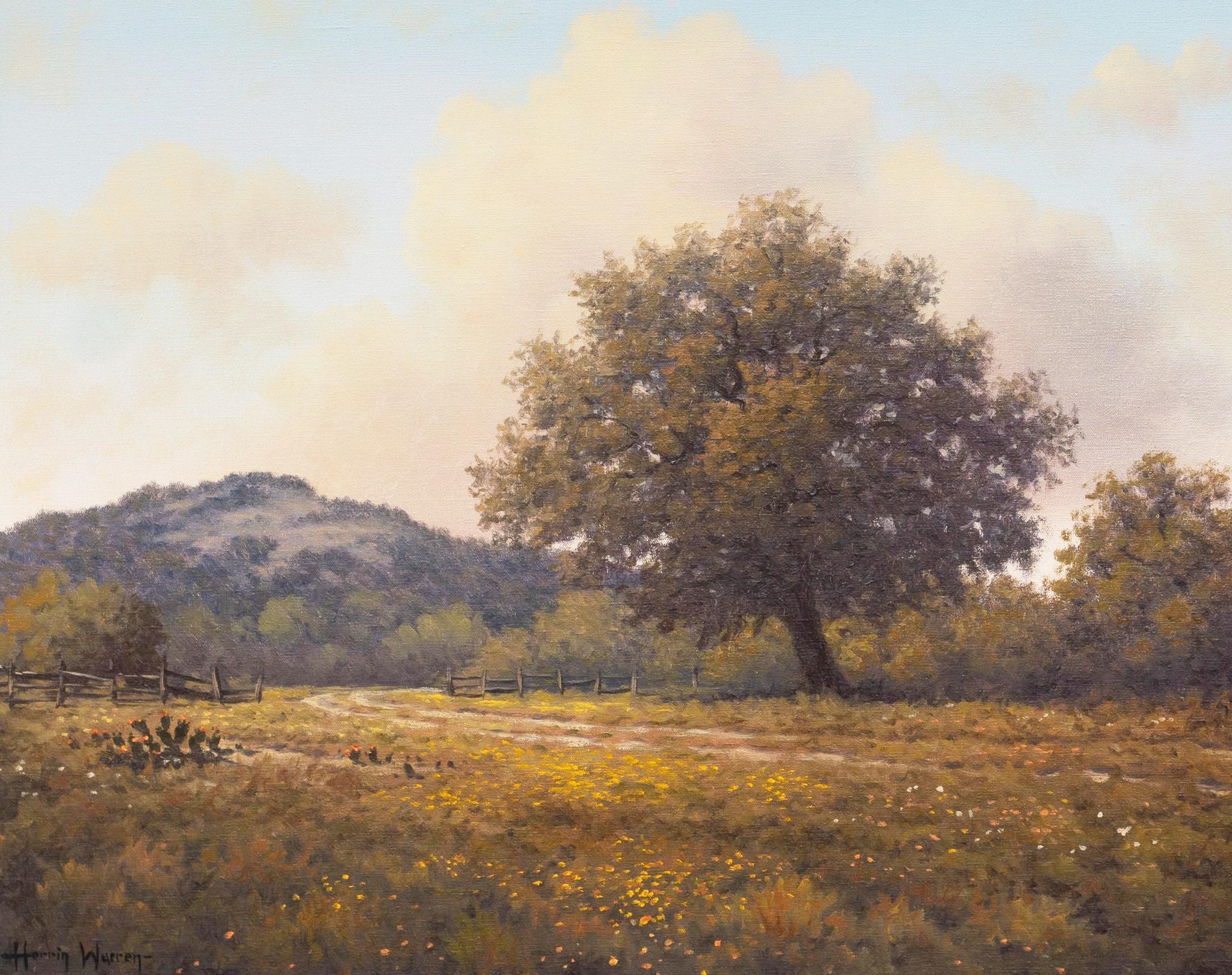 Don Warren | Hill Country Road | MutualArt