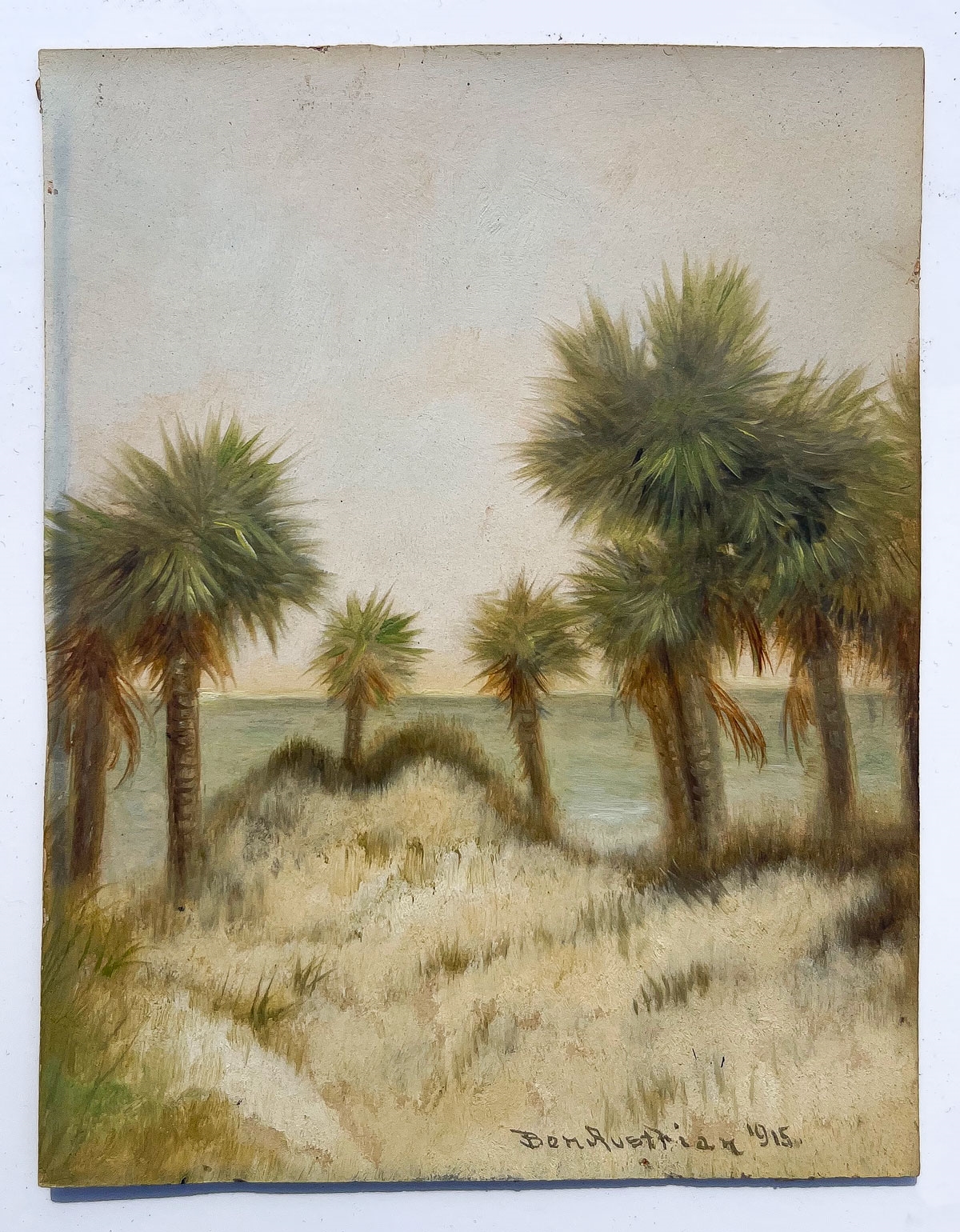 Ben Austrian | Coastal Palms | MutualArt