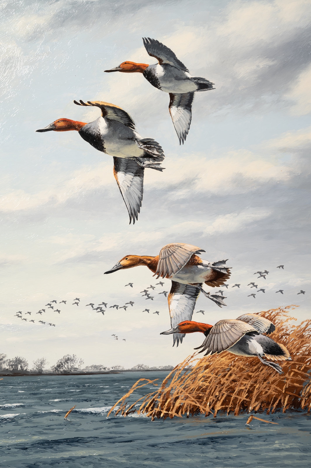 David Maass | Untitled | MutualArt