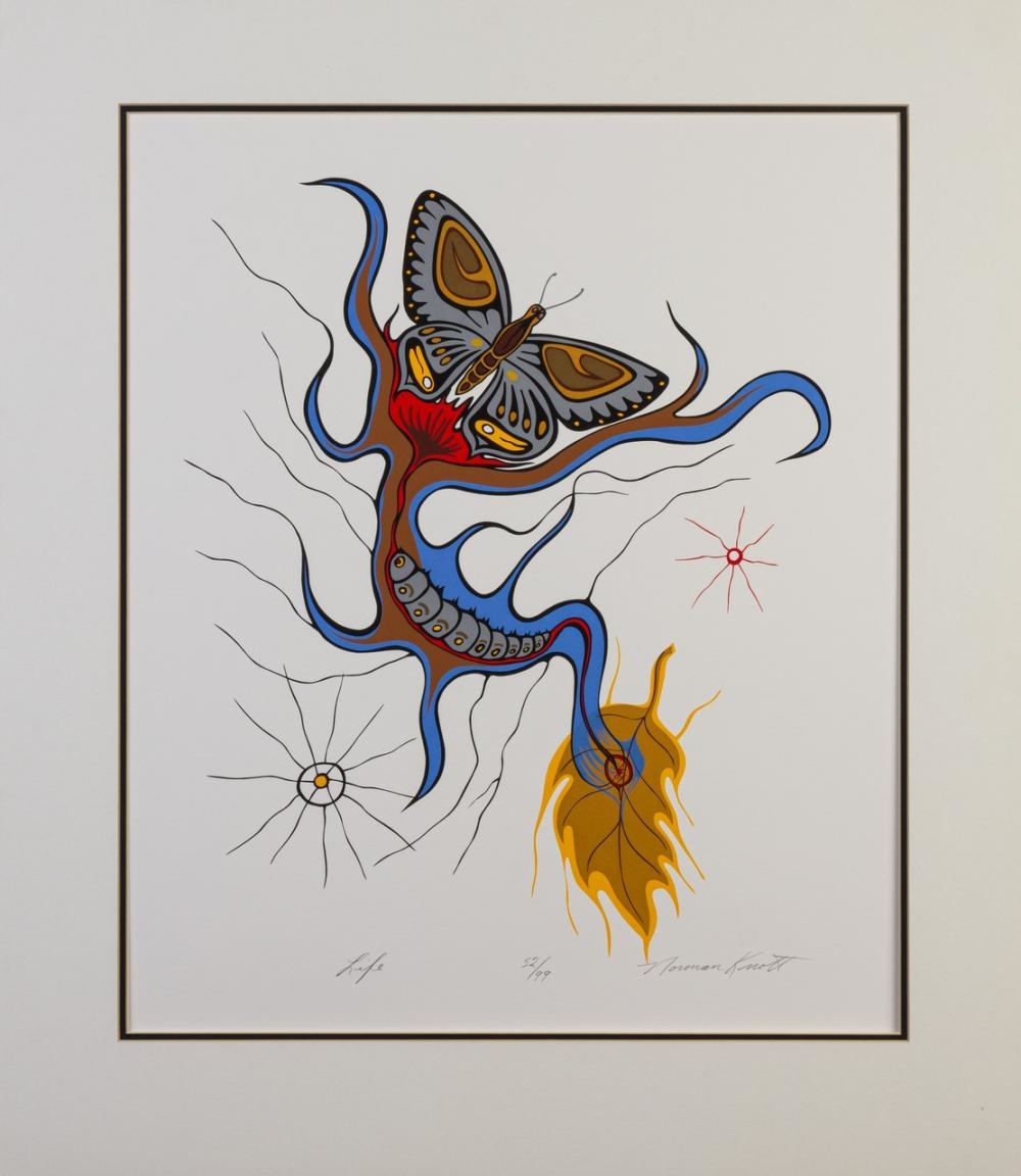 Norman Knott | Life | MutualArt