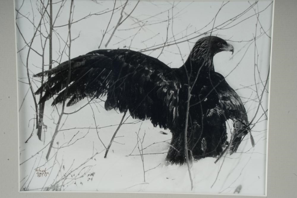 Steve Snyder | STEVE SNYDER: FIVE PHOTOGRAPHS | MutualArt