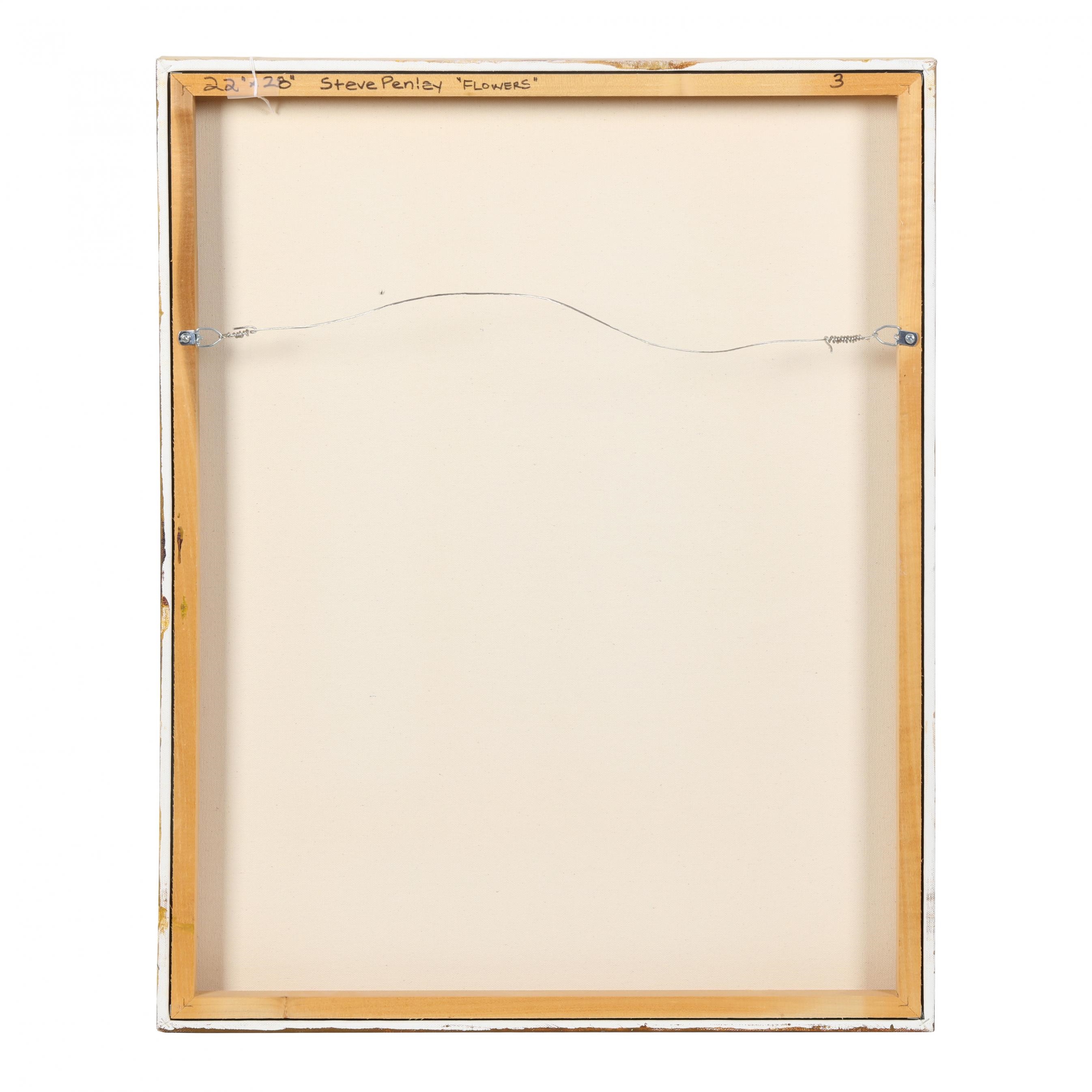 Steve Penley | Flowers | MutualArt