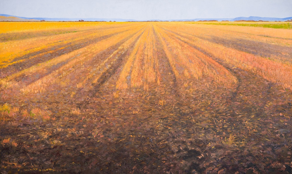 Gary Ernest Smith Harrowed Field Mutualart