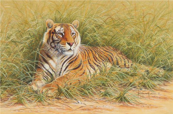 Kim Brooks | Tiger | MutualArt