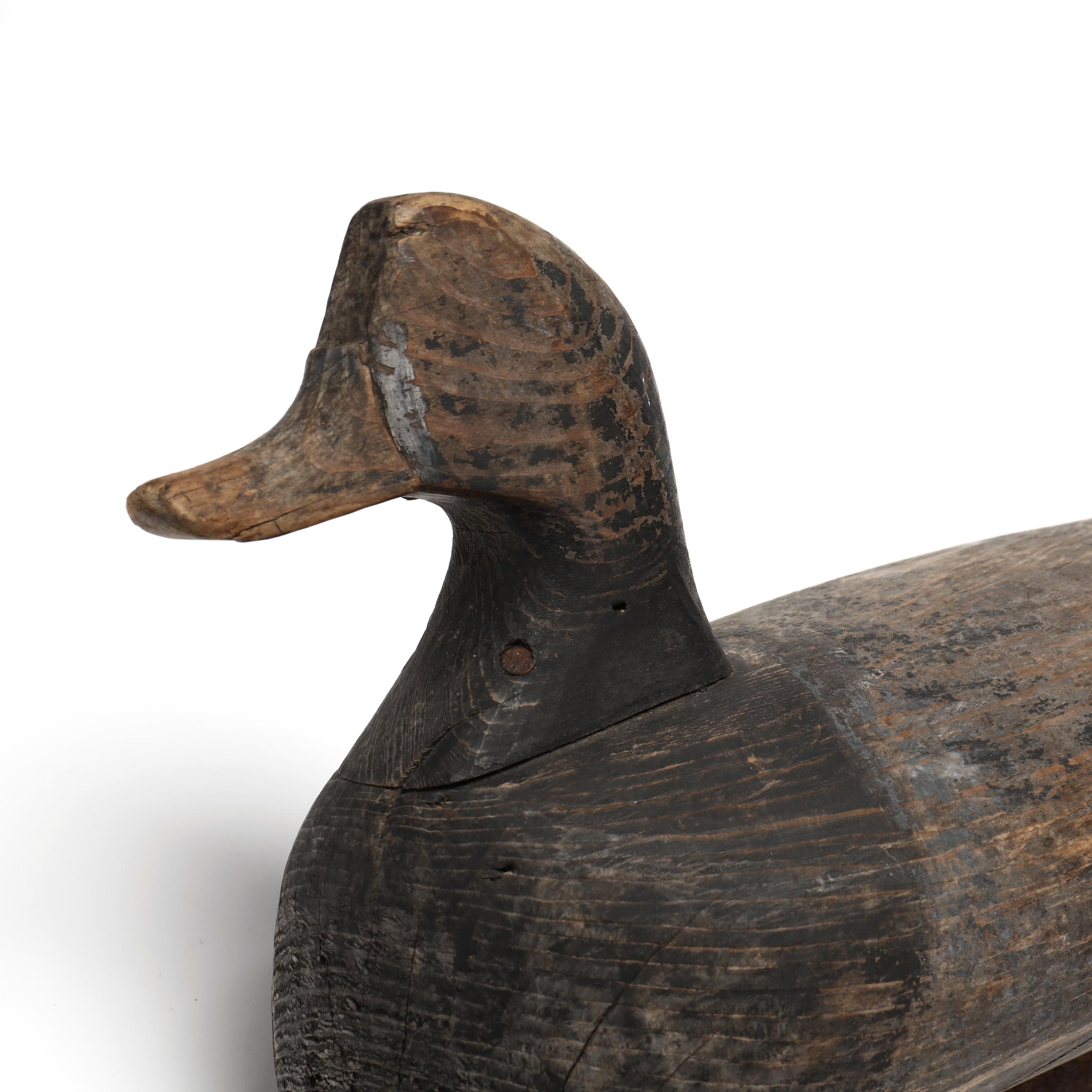 John Austin | Hen Bluebill | MutualArt