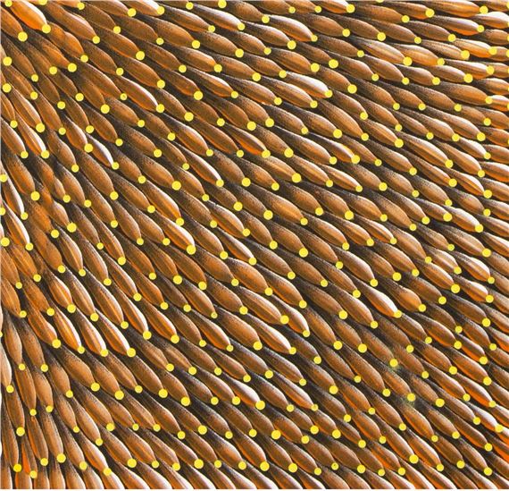 Dallvina Roderick | Bush Medicine Leaves | MutualArt