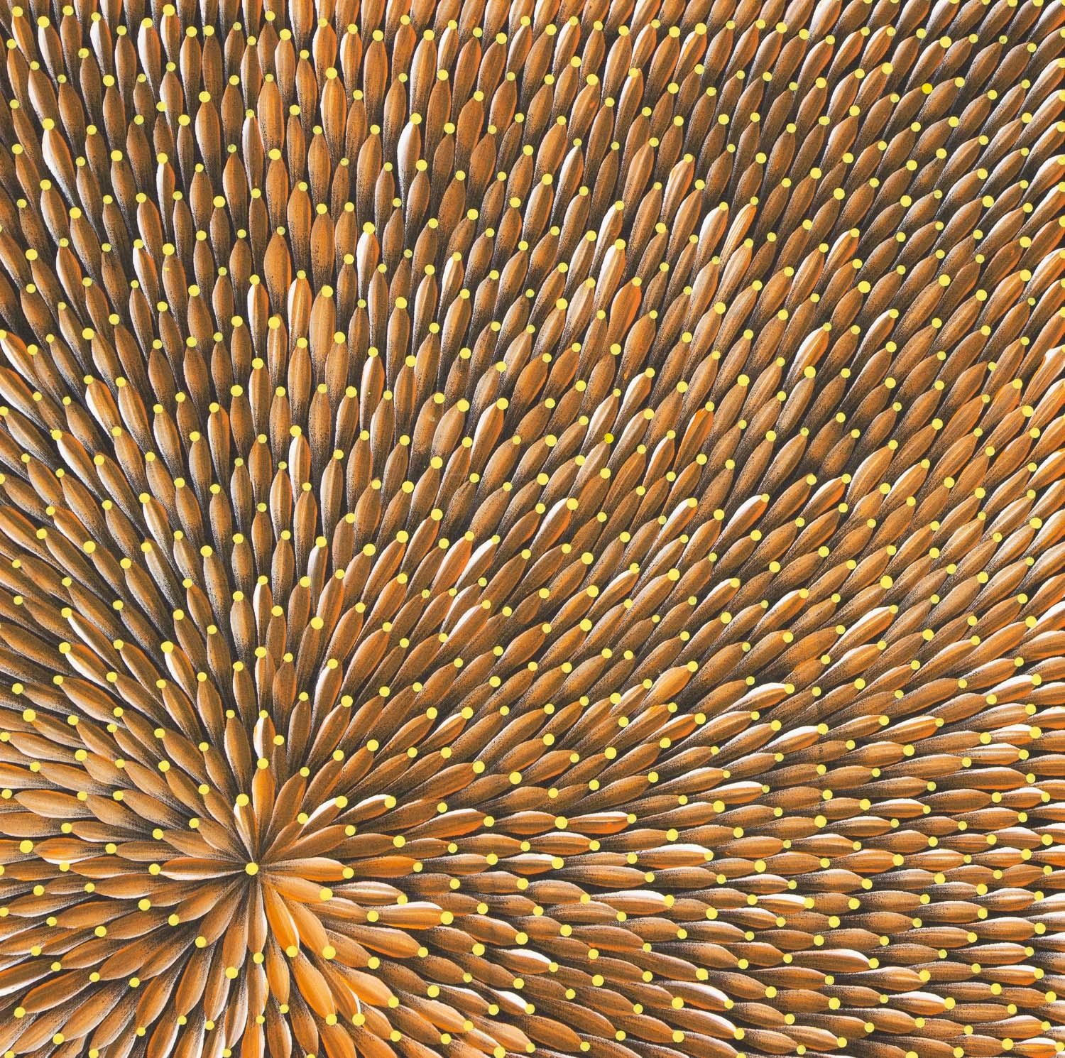 Dallvina Roderick | Bush Medicine Leaves | MutualArt