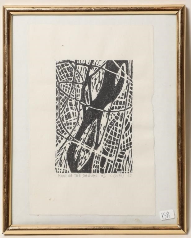 Caroline Dukes | Mapping the Danube | MutualArt