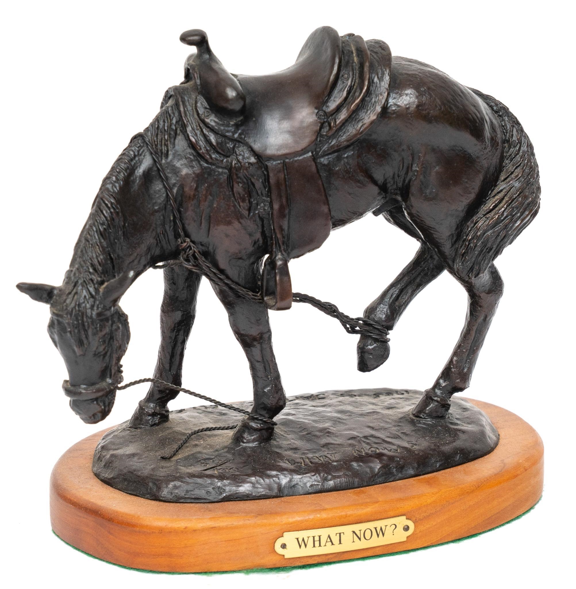 James C. Hellen | What Now (1985) | MutualArt