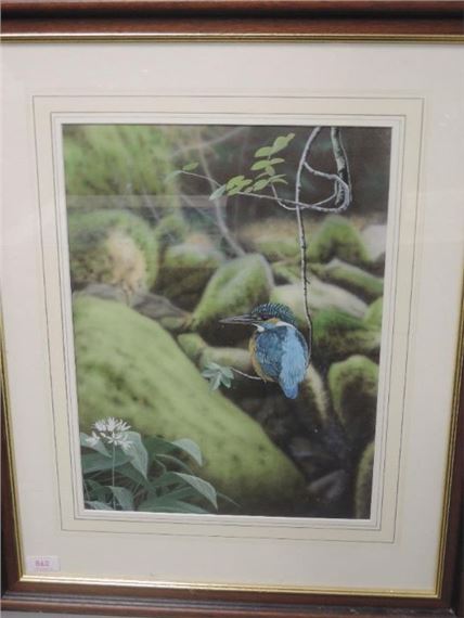 Michael Demain | Kingfisher | MutualArt