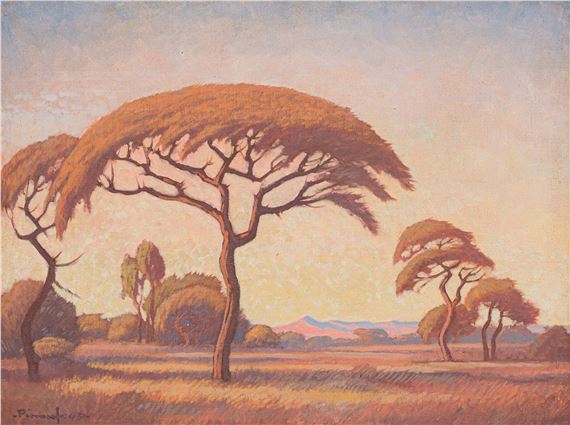 Jacob Hendrik Pierneef | Doringboom | MutualArt