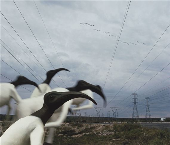 jane cable alexander