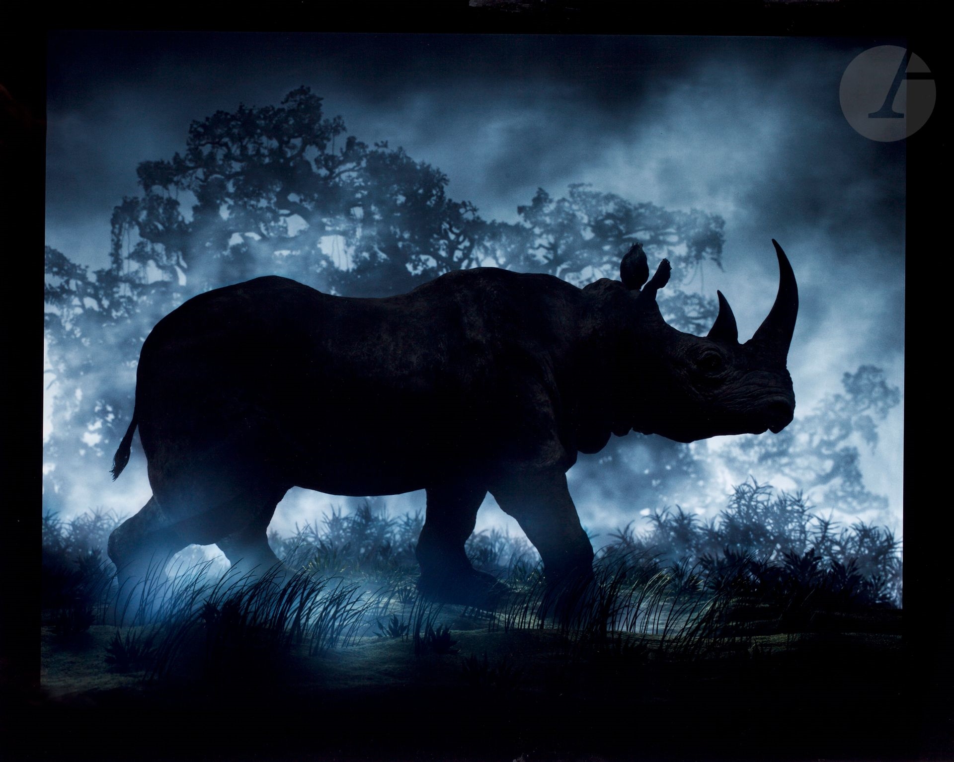Didier Massard | The Rhinoceros (2004) | MutualArt