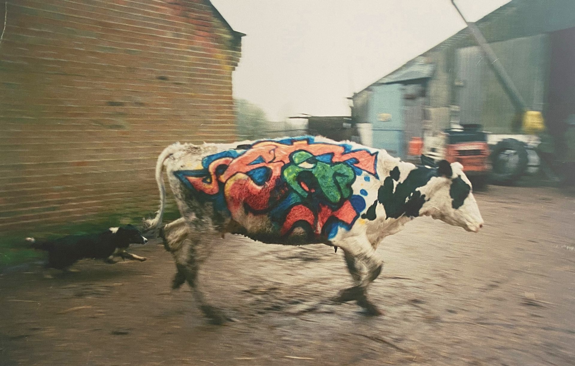 Banksy | Hick Hop (2003) | MutualArt