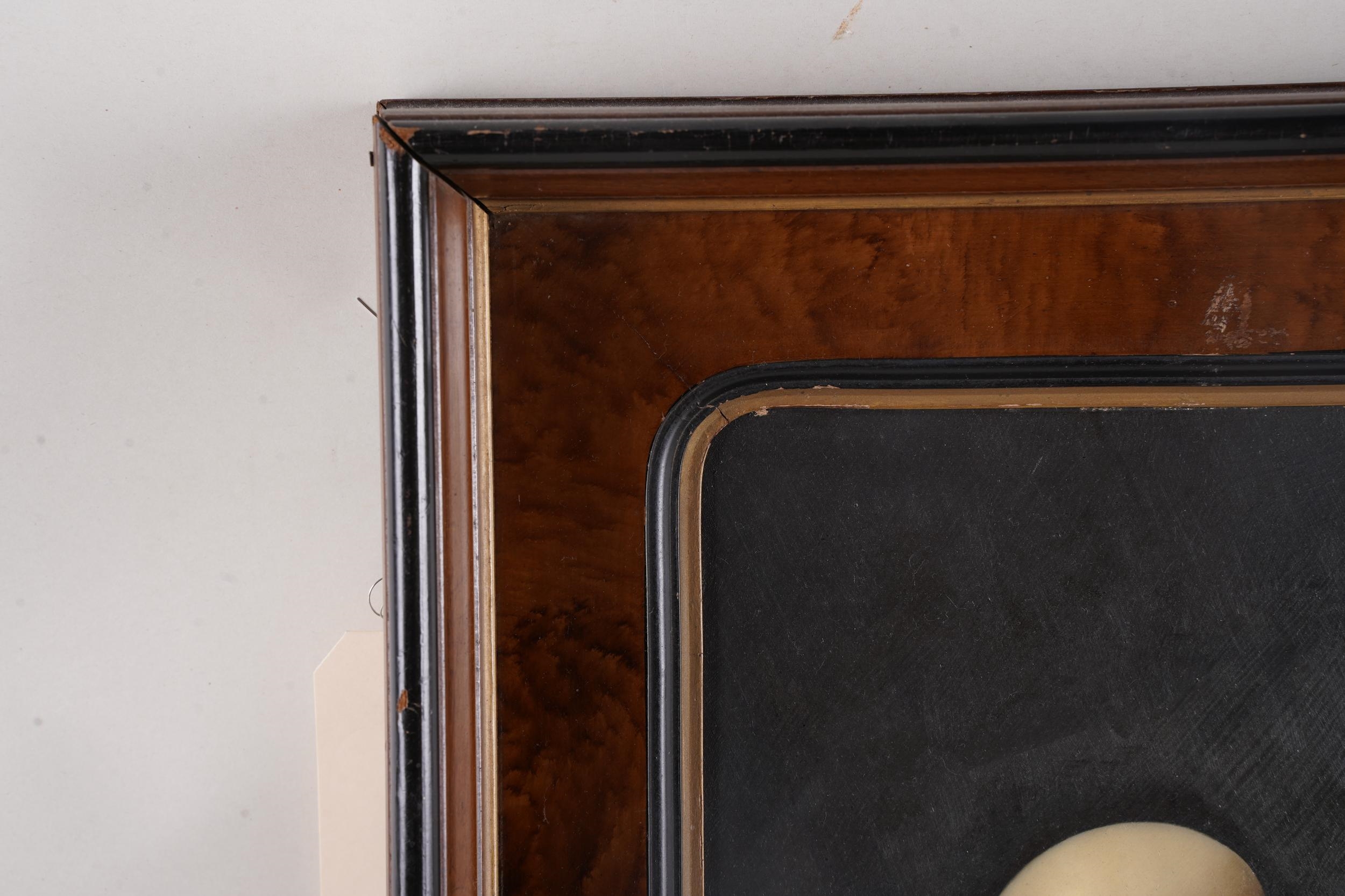 David Brega | : STILL LIFE WITH EGG | MutualArt